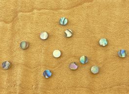 Paua Abalone Dots 3mm