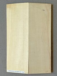 German Maple Violin/Viola/Mandolin Back #31 - AAA Grade