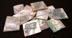 Pearl + Abalone Blanks - Pearl + Inlay - Materials + Supplies